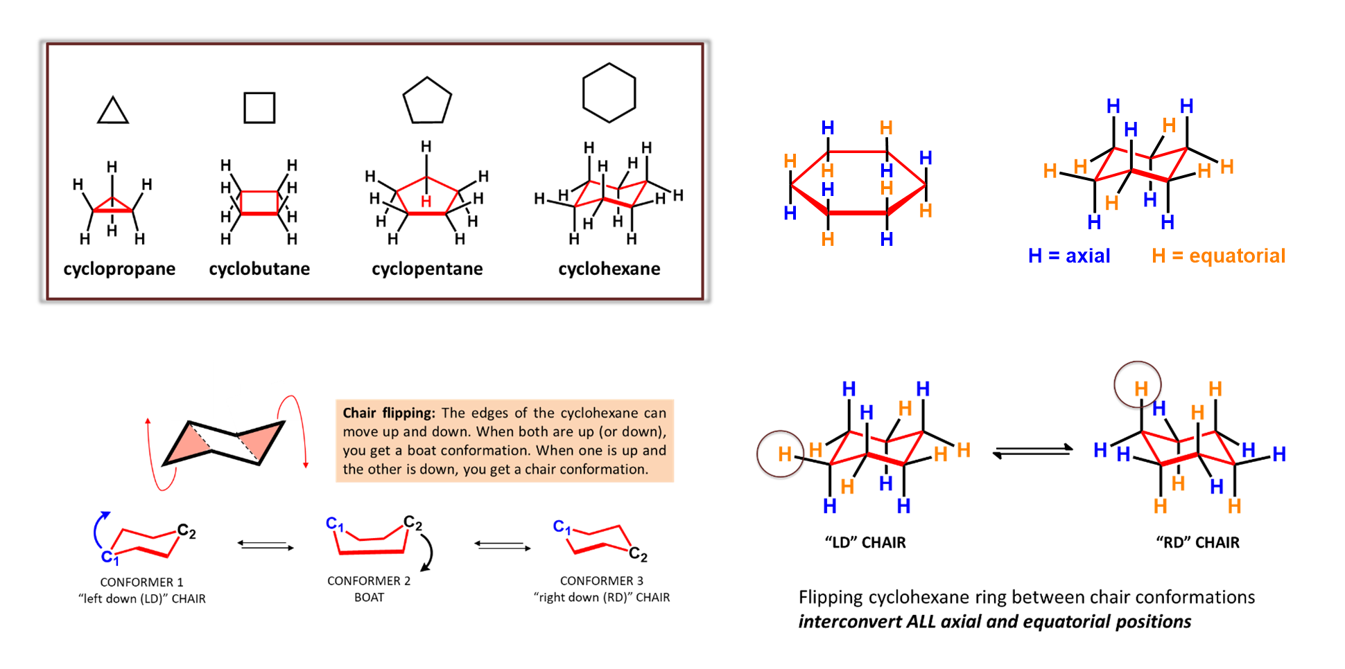Lecture 9: Conformations and Cyclohexane Rings