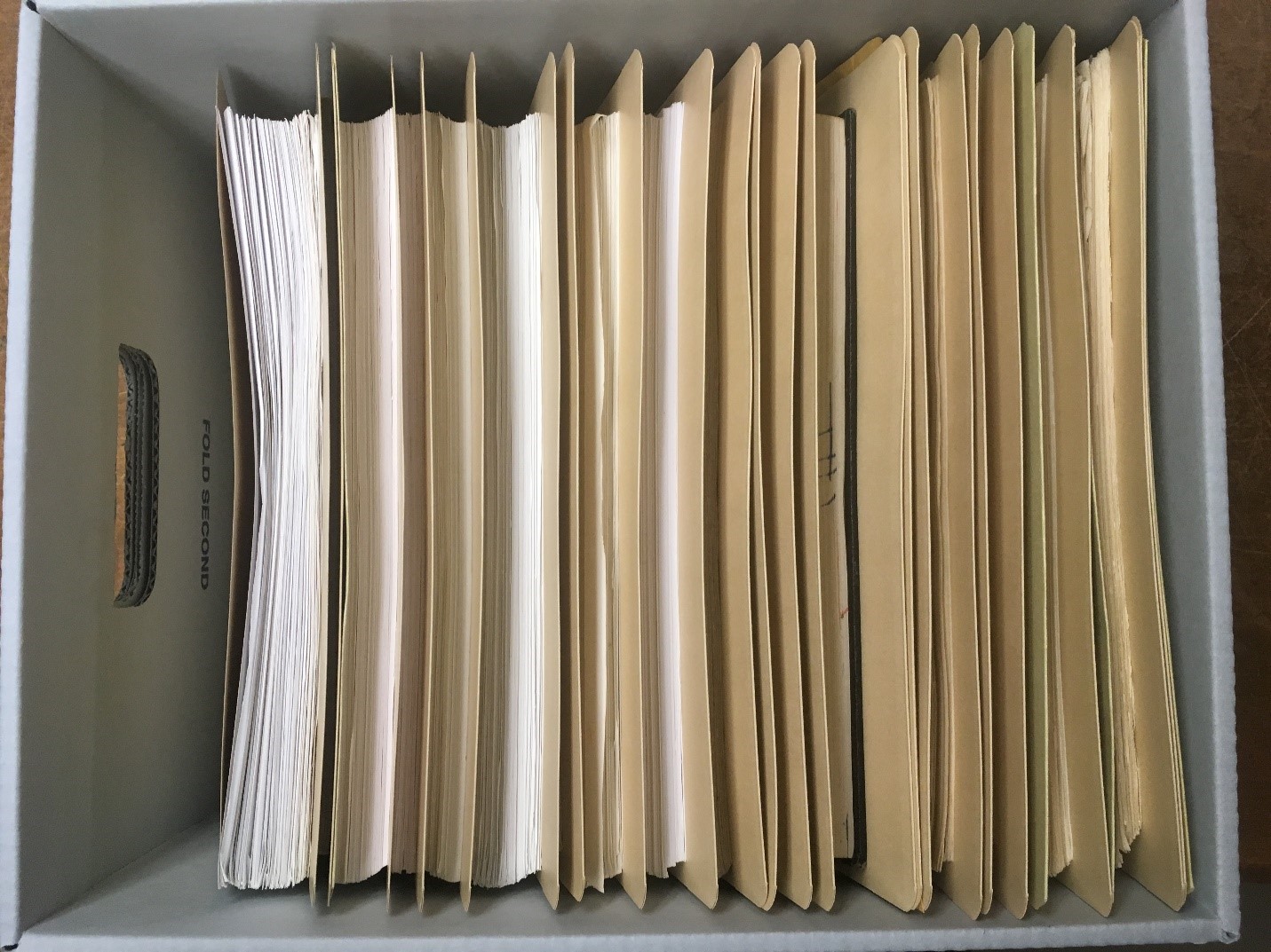 Alan Lew Papers, Overview